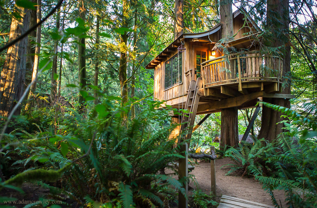 The Treehouses of Western Washington | Seattle Weekly