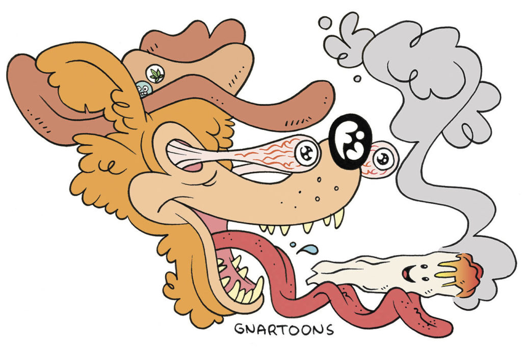 Treating Your Pets With Cannabis | Seattle Weekly