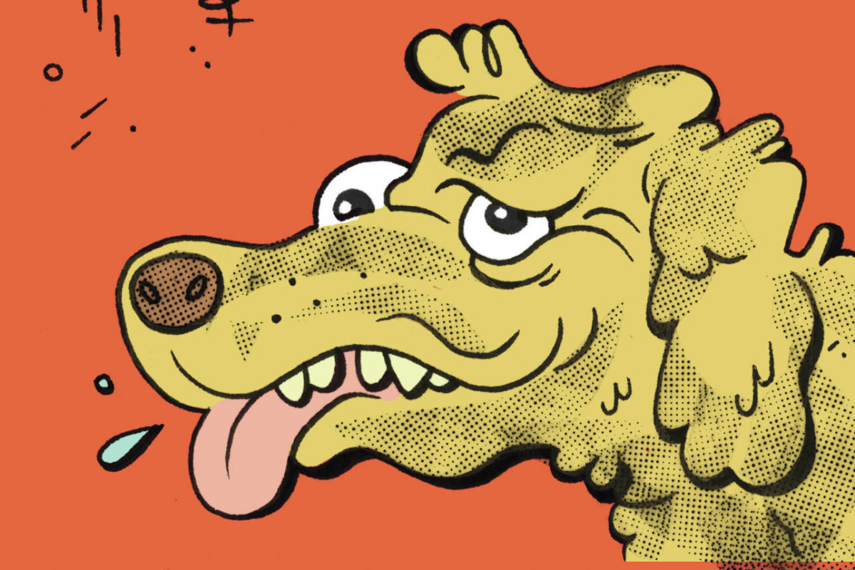 Seattle Dog | Seattle Weekly