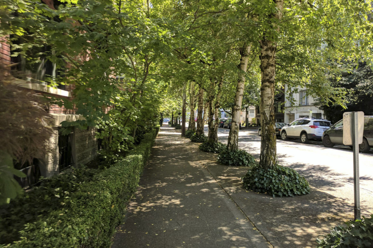 As Development Booms, Seattle Gives Up on Green Space | Seattle Weekly