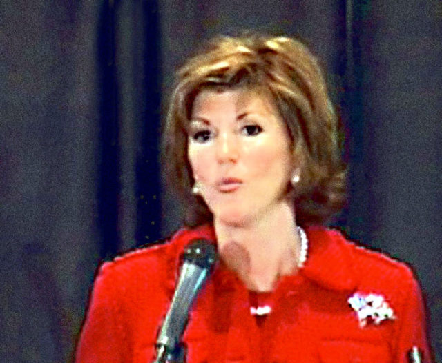 Susan Hutchison: No Answers, Lots of Questions | Seattle Weekly