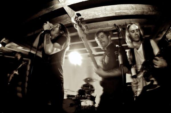 Ape Machine | Seattle Weekly