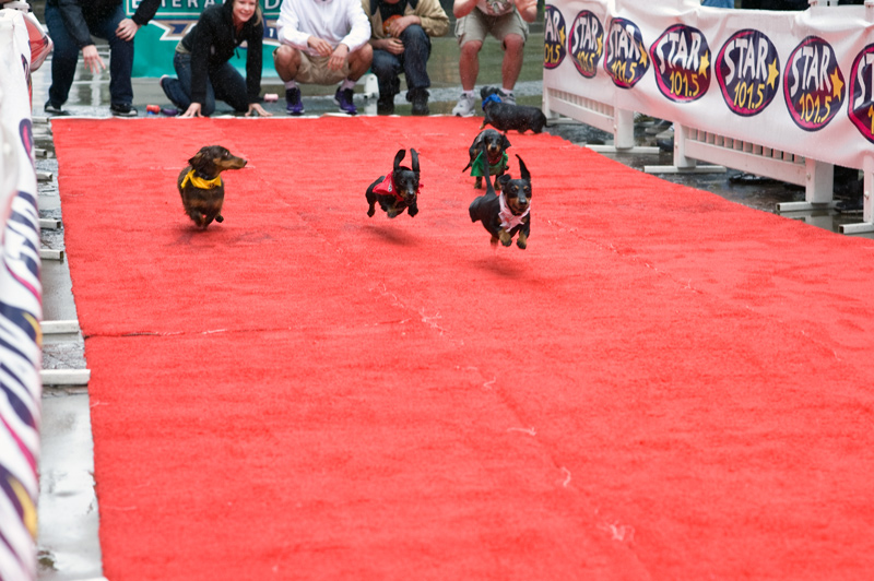 Despite July slipping by with only a handful of days sunny enough ...