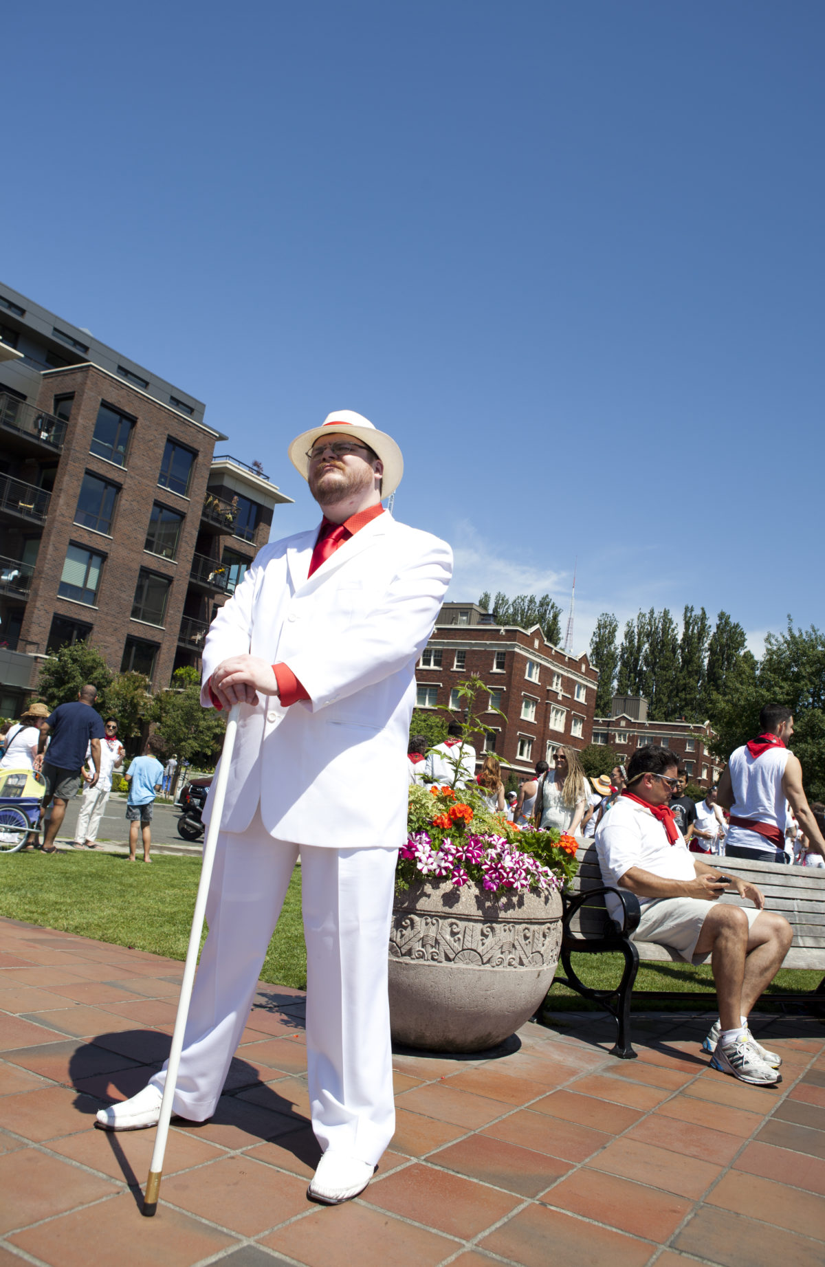 No, that wasn't a heat-induced illusion. There was, in fact, a herd ...