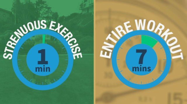 One and Done Workout Reviews (Meredith Shirk Svelte Training) | Seattle ...